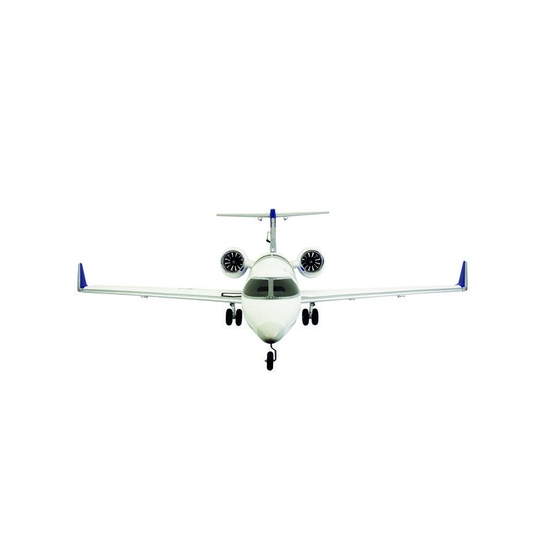 LEARJET MULTIPLEX RR